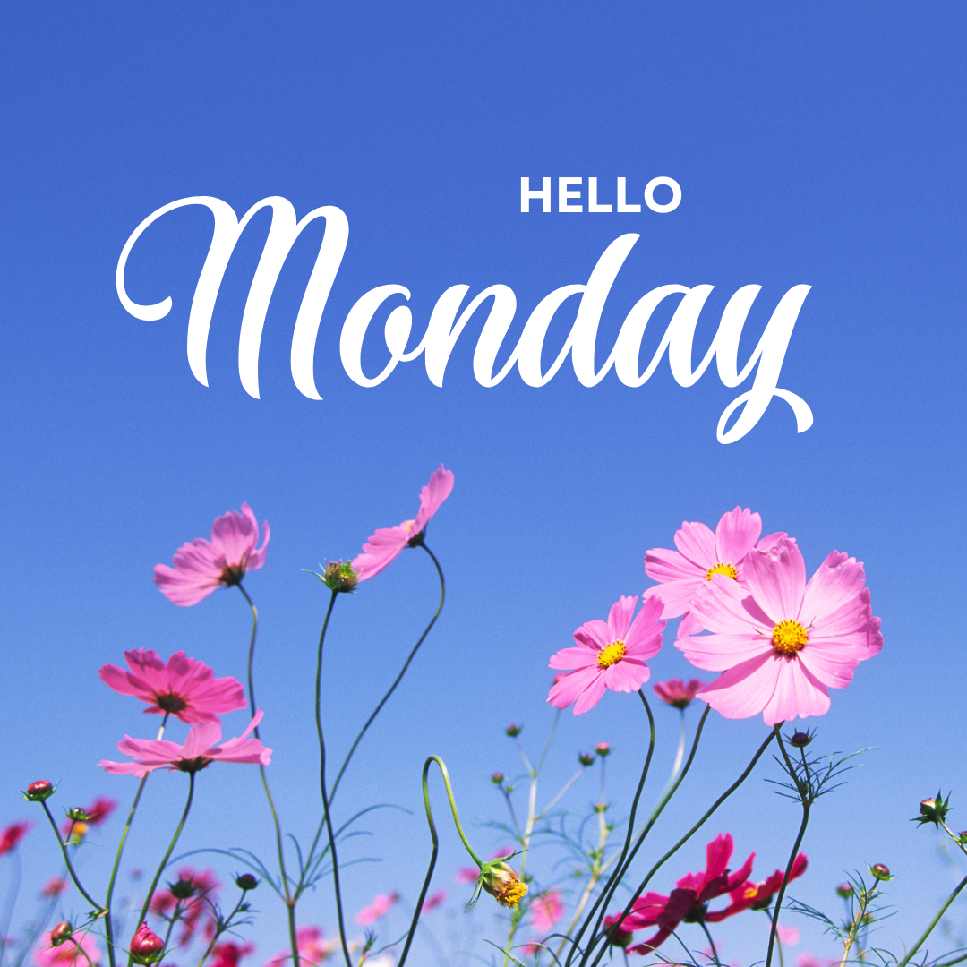 Hello Monday! – Karriere Coaching für deine berufliche Transformation